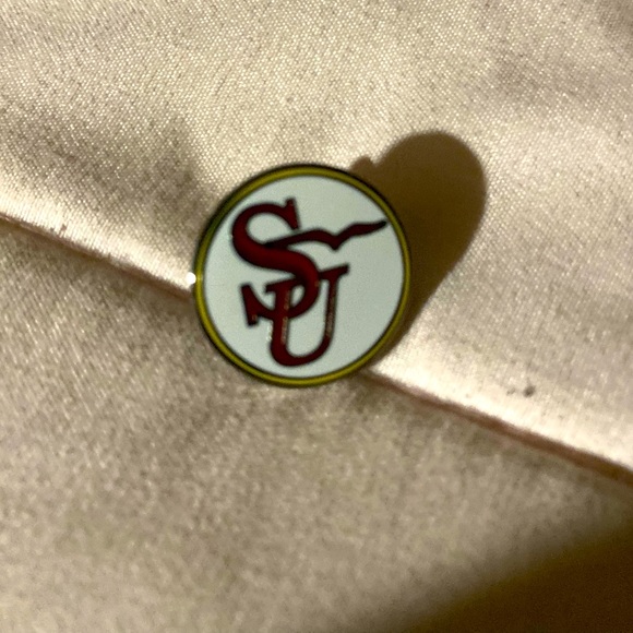 Accessories | Salisbury University Pin | Poshmark